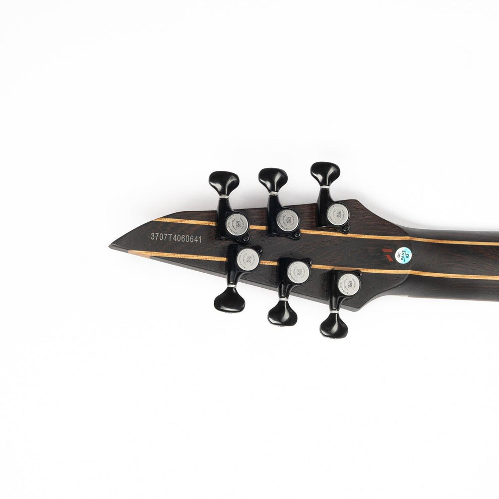 Eart Guitars, EXP-H6-ULTRA Humbucker Pickups, Tremolo Bridge, Metal Ro ...