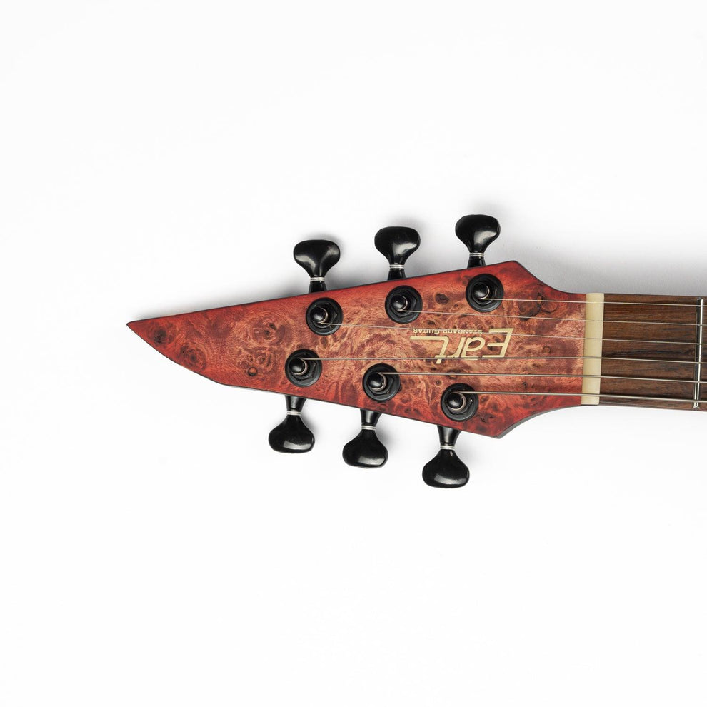 Eart Guitars, EXP-H6-ULTRA Humbucker Pickups, Tremolo Bridge, Metal Ro ...